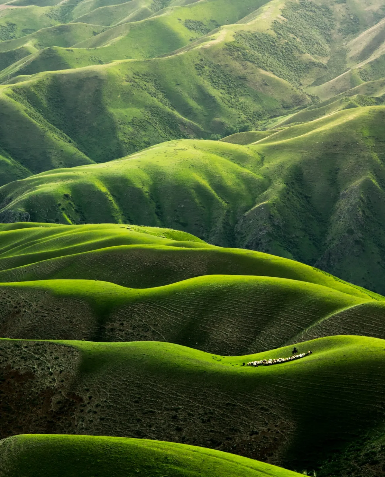 GreenBee株式会社